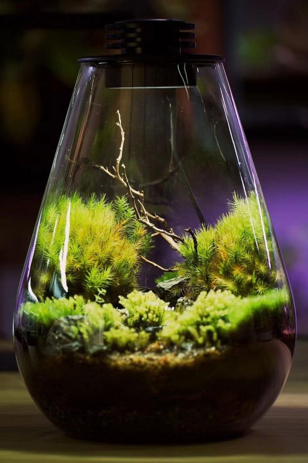 Bioloark Bio Bottle SD200 - Etsy