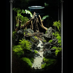Bioloark Bio Bottle ZD150 - Etsy