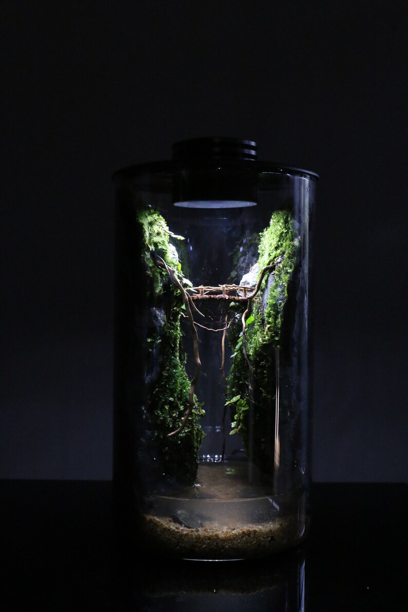 Bioloark Bio Bottle ZD150 - Etsy