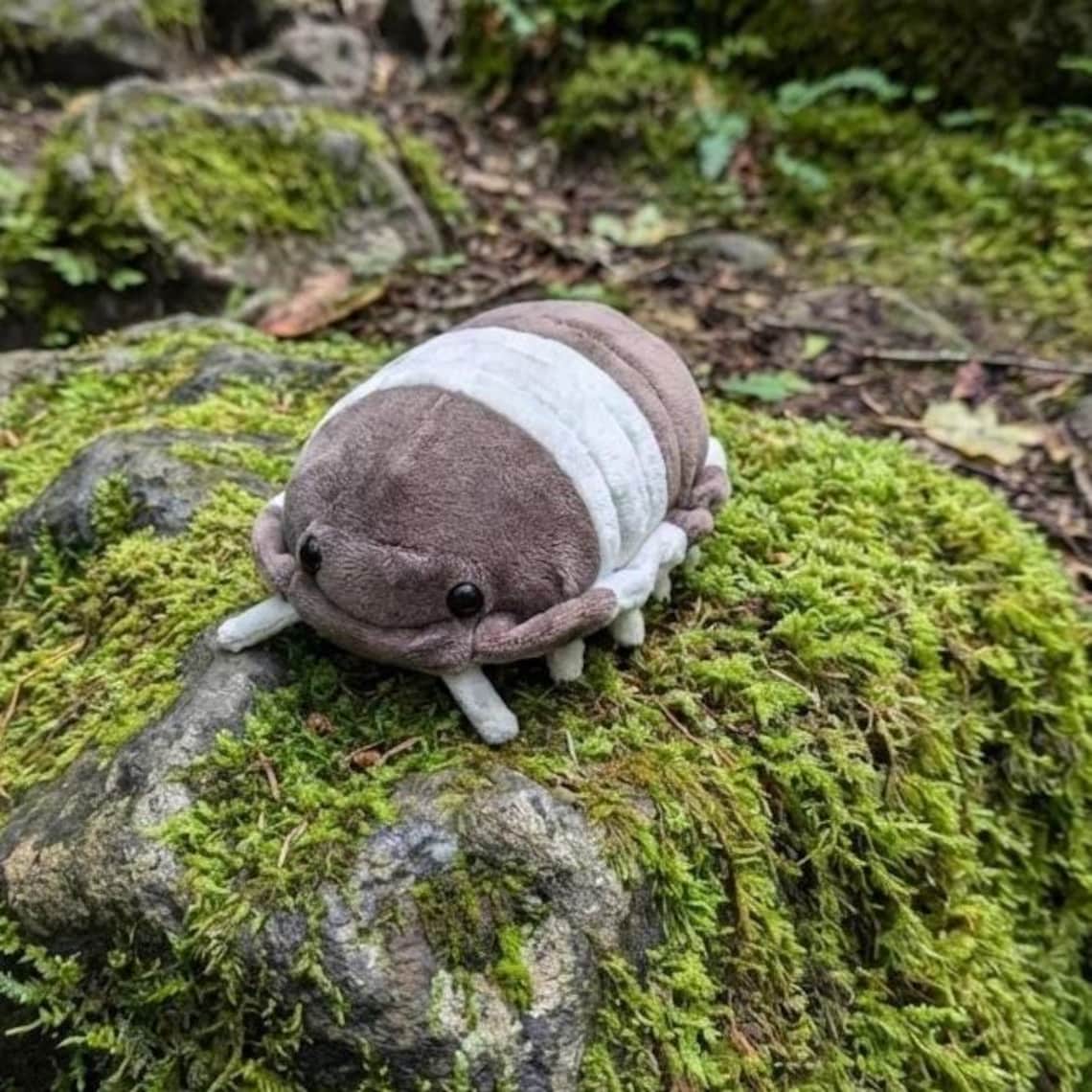 Panda King Isopod Plushie (imperfect) - Etsy