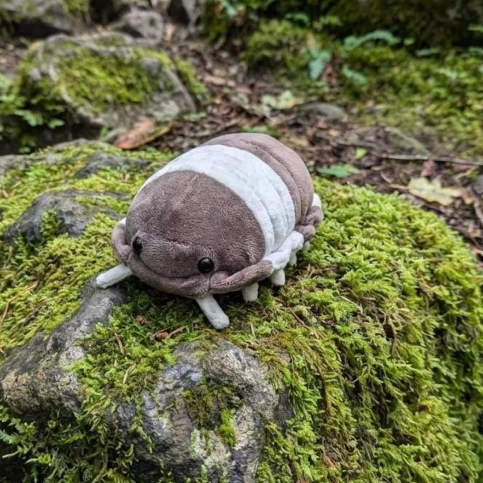Panda King Isopod Plushie (imperfect) - Etsy