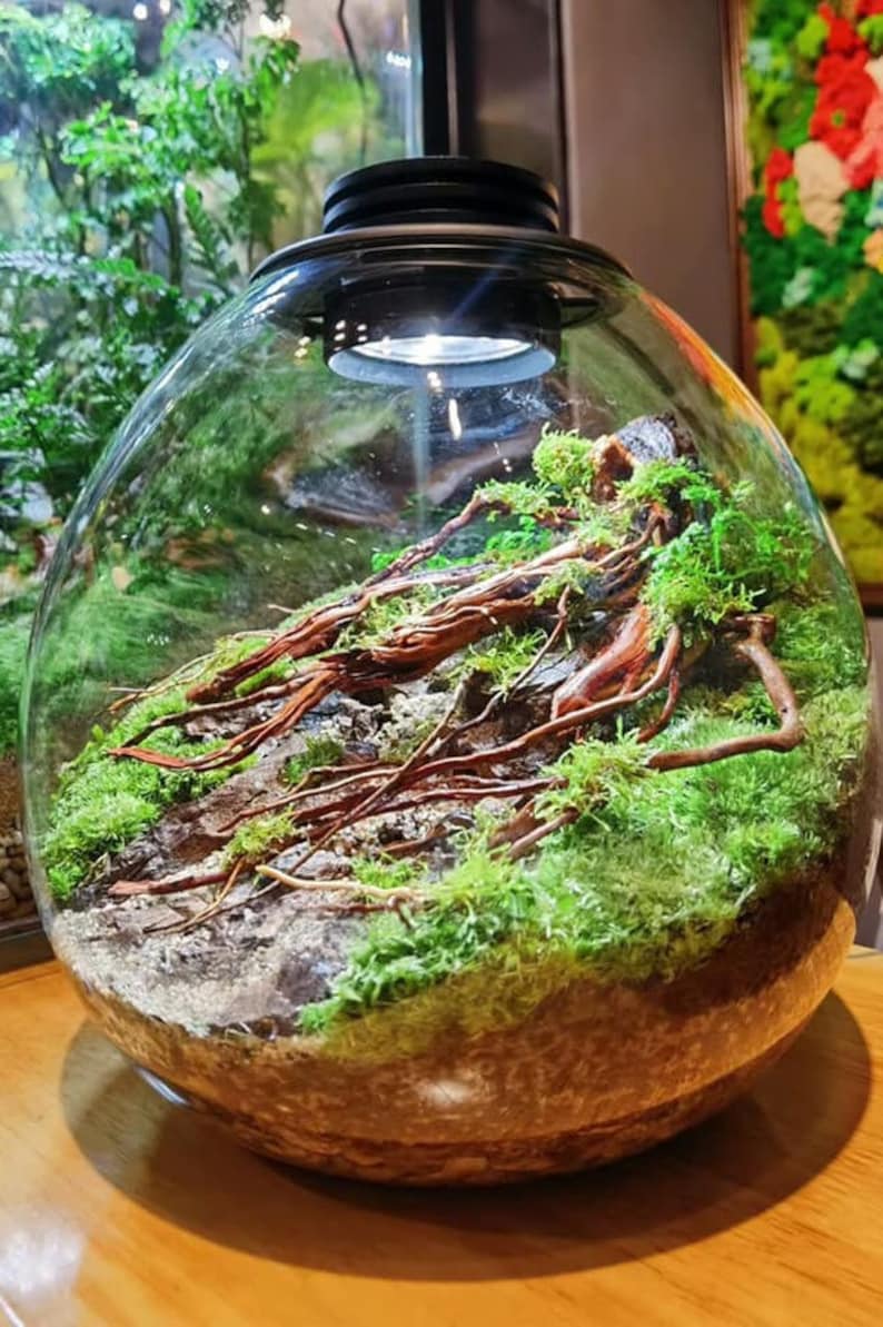 Bioloark Bio Bottle PD170 - Etsy