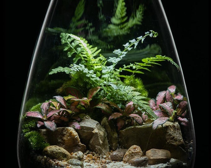 Bioloark Bio Bottle SD175 - Etsy