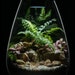 Bioloark Bio Bottle SD175 - Etsy