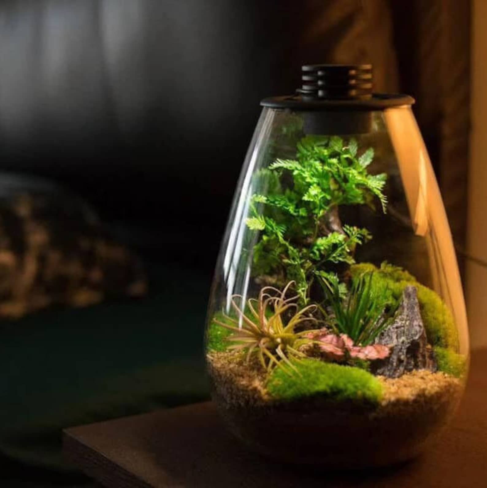 Bioloark Bio Bottle SD175 - Etsy