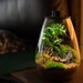 Bioloark Bio Bottle SD175 - Etsy