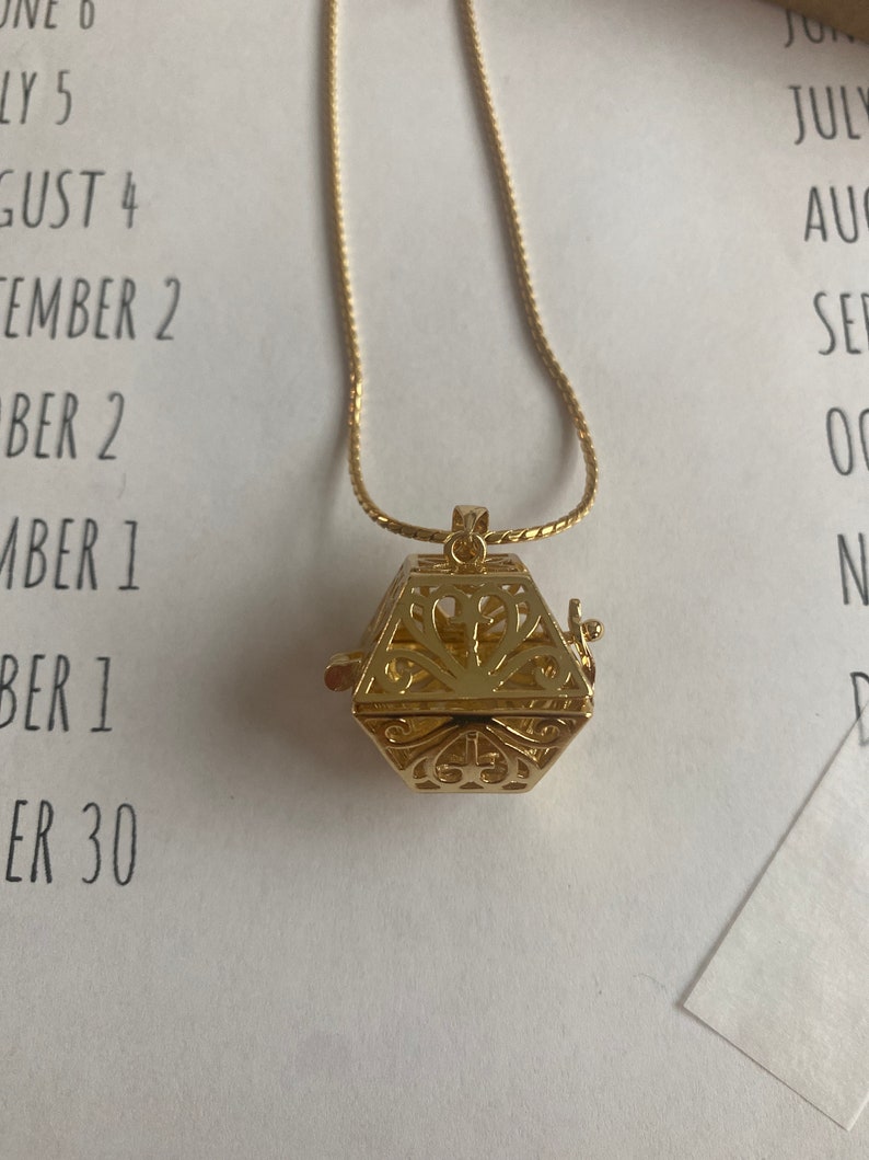 Manifestation Locket Kit With Basket Locket Long Chain - Etsy