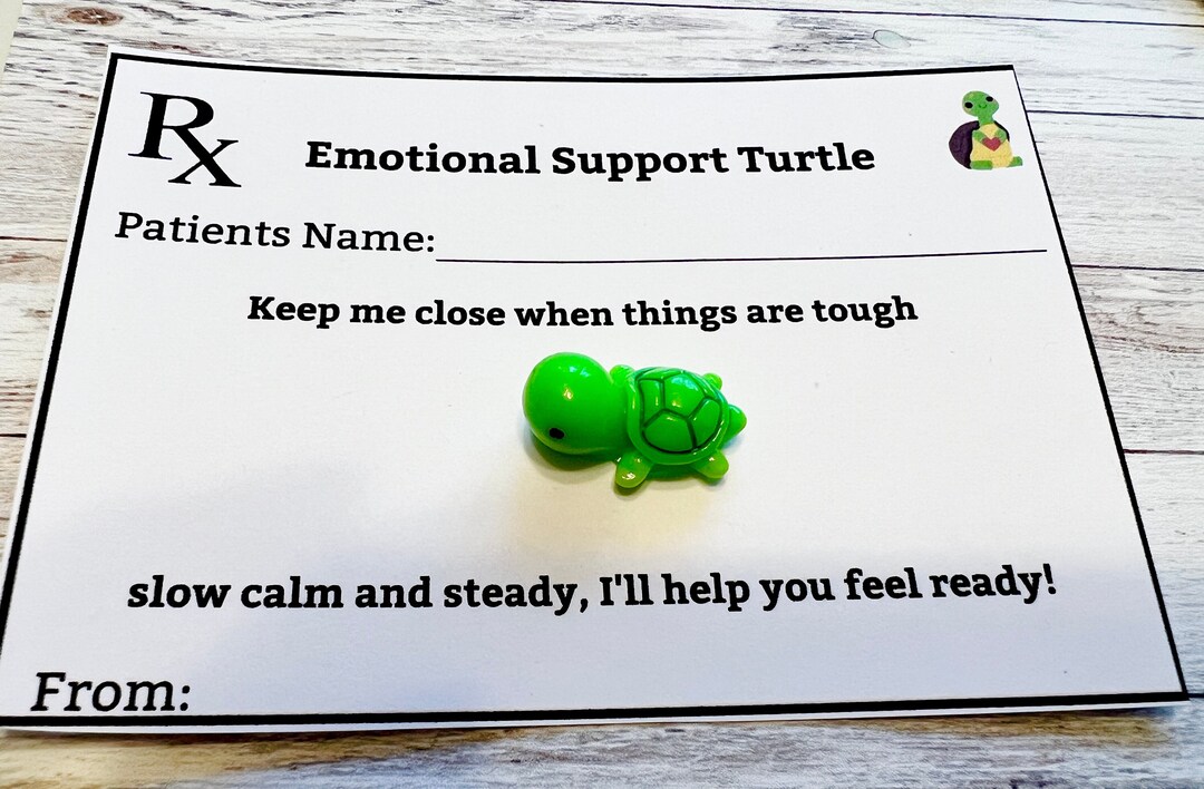 Emotional Support Tiny Turtle Emotional Support Pal Worry - Etsy