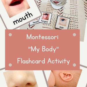Montessori my Body Flashcard Activity - Etsy