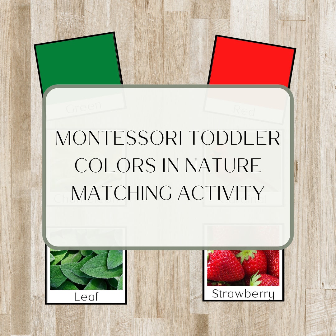 Montessori Toddler Colors in Nature Matching Activity - Etsy