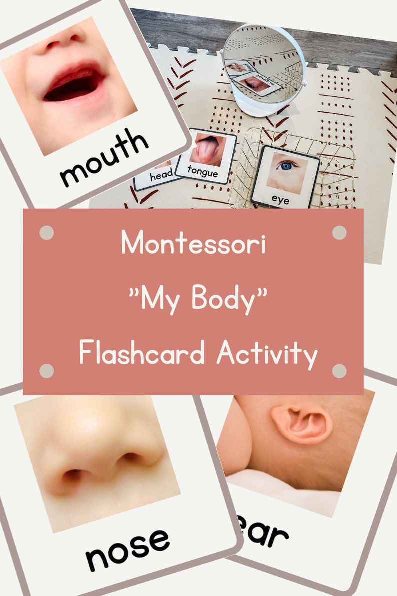 Montessori my Body Flashcard Activity - Etsy