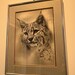 Vintage 11 X 14 Lynx Sam Lu Print - Etsy
