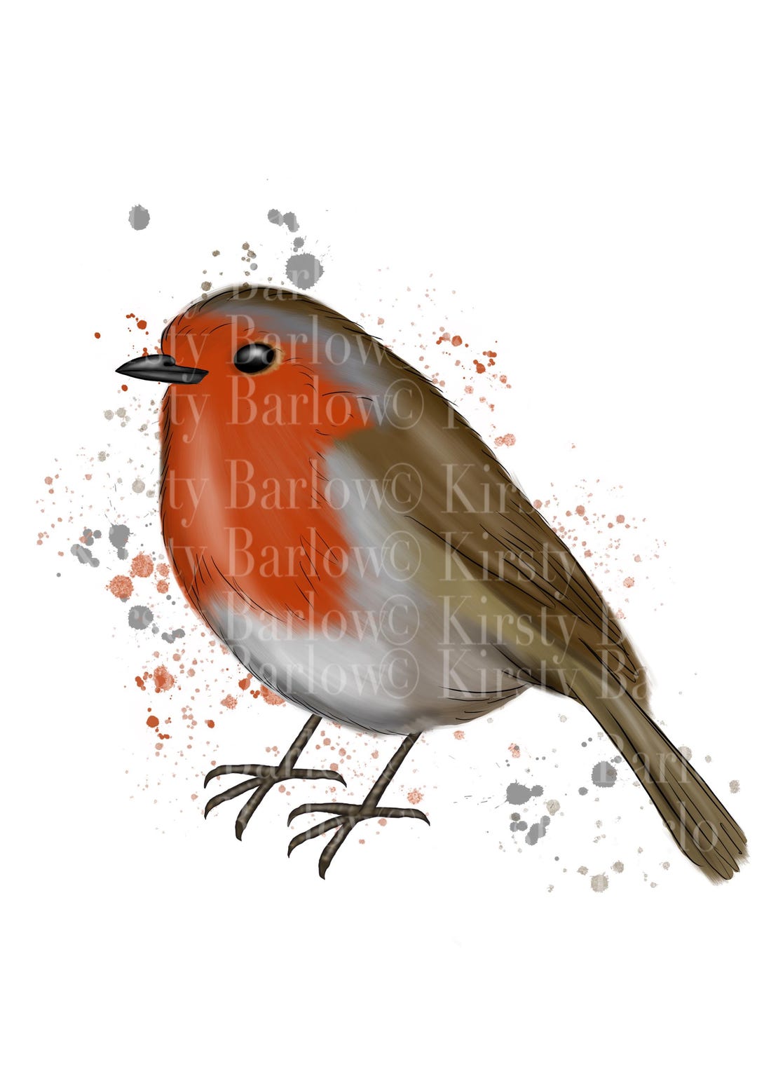 Winter Robin Bird Clipart Png Sublimation Design Hand Drawn Digital Art ...