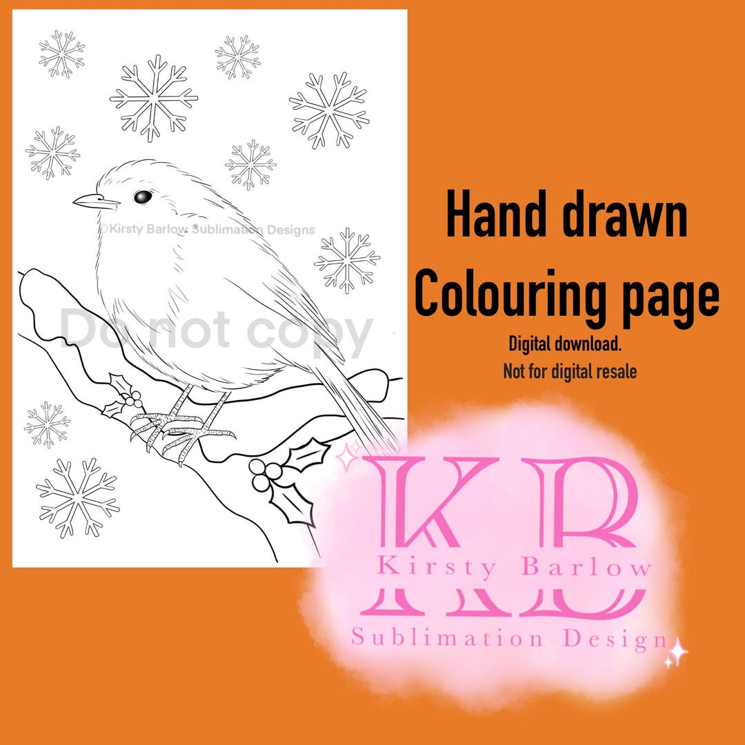 Christmas Robin Colour in Colouring Page Digital Download Hand Drawn ...