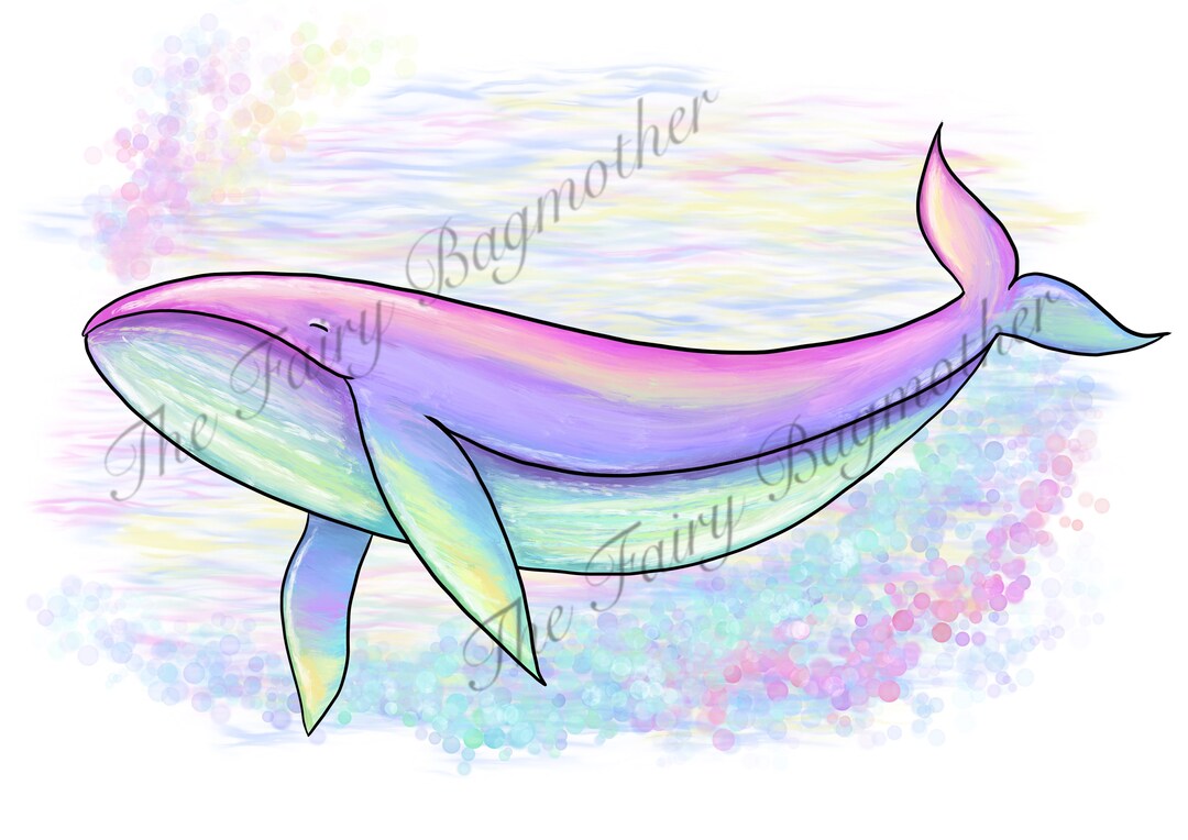 Rainbow Whale Clip Art File for Sublimation Digital Download Png - Etsy