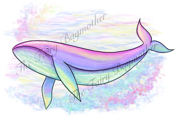 Rainbow Whale Clip Art File for Sublimation Digital Download - Etsy UK
