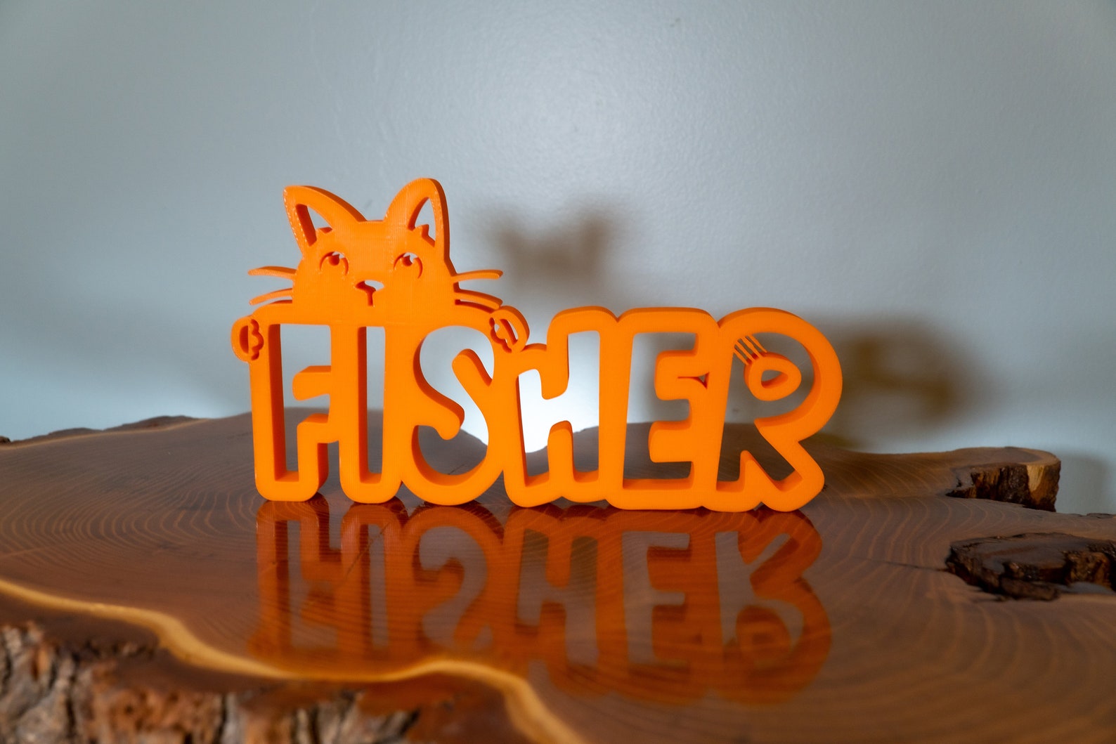 Cat Name Plate - Cat Name Sign - Cat Lover Gift - Veterinarian Gift ...