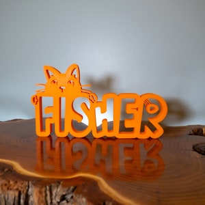 Cat Name Plate - Cat Name Sign - Cat Lover Gift - Veterinarian Gift ...