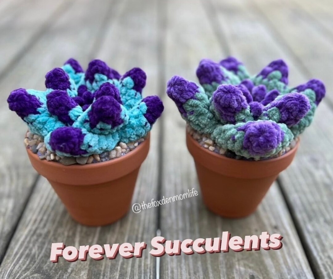 CROCHET PATTERN: Forever Succulents - Etsy