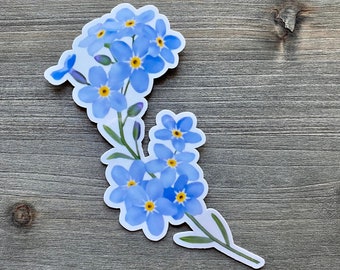 Alaska Forget Me Not - Etsy