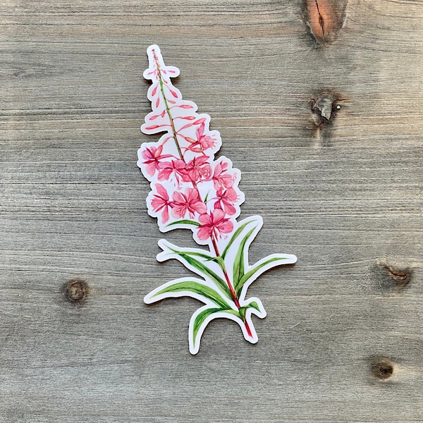 Fireweed - Etsy
