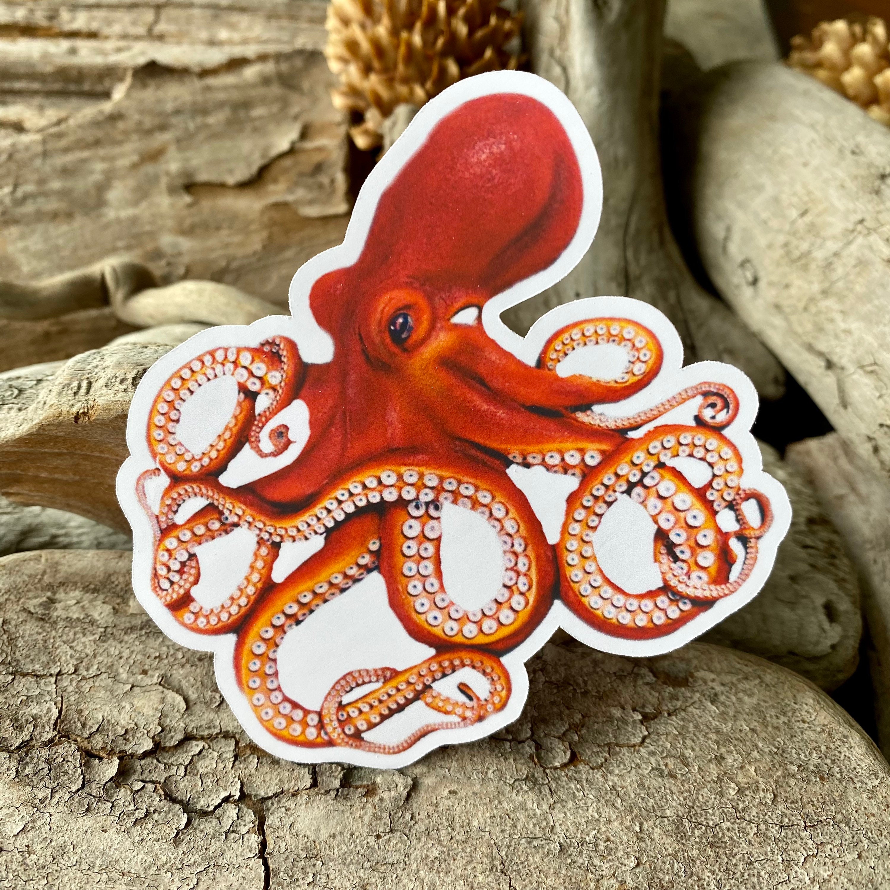 STC-085 Giant Pacific Octopus Sticker, Octopoda Sticker, Ocean Life ...