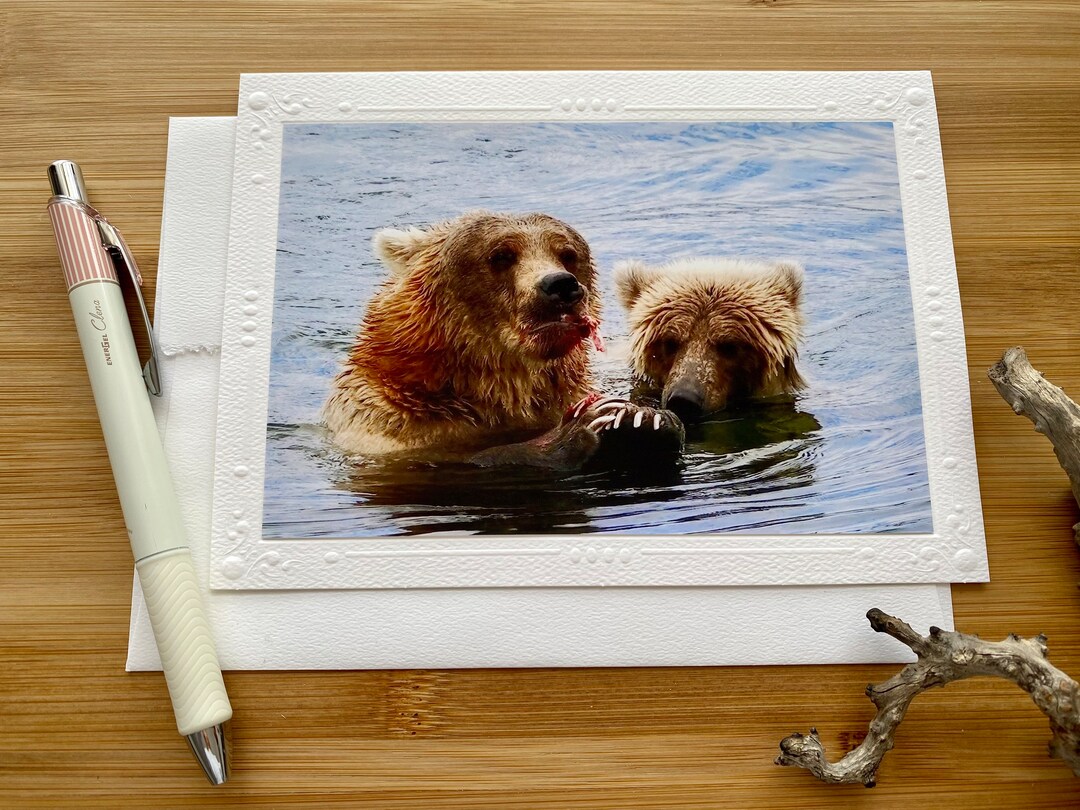 Katmai Bear "435 Holly & Cub” Note Card, Katmai National Park Alaska ...