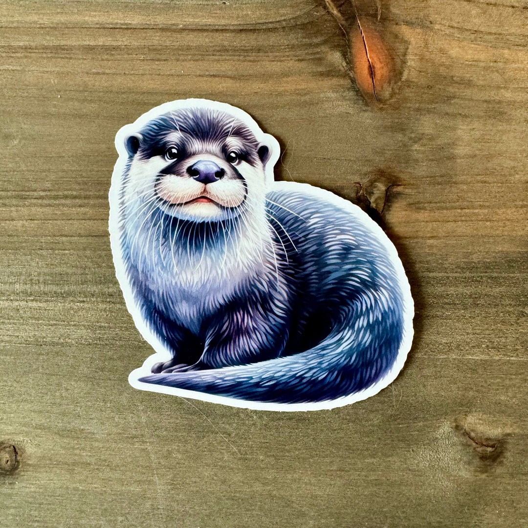 STC-135 Alaska Sea Otter Pup Sticker, Marine Life Sticker, Ocean ...