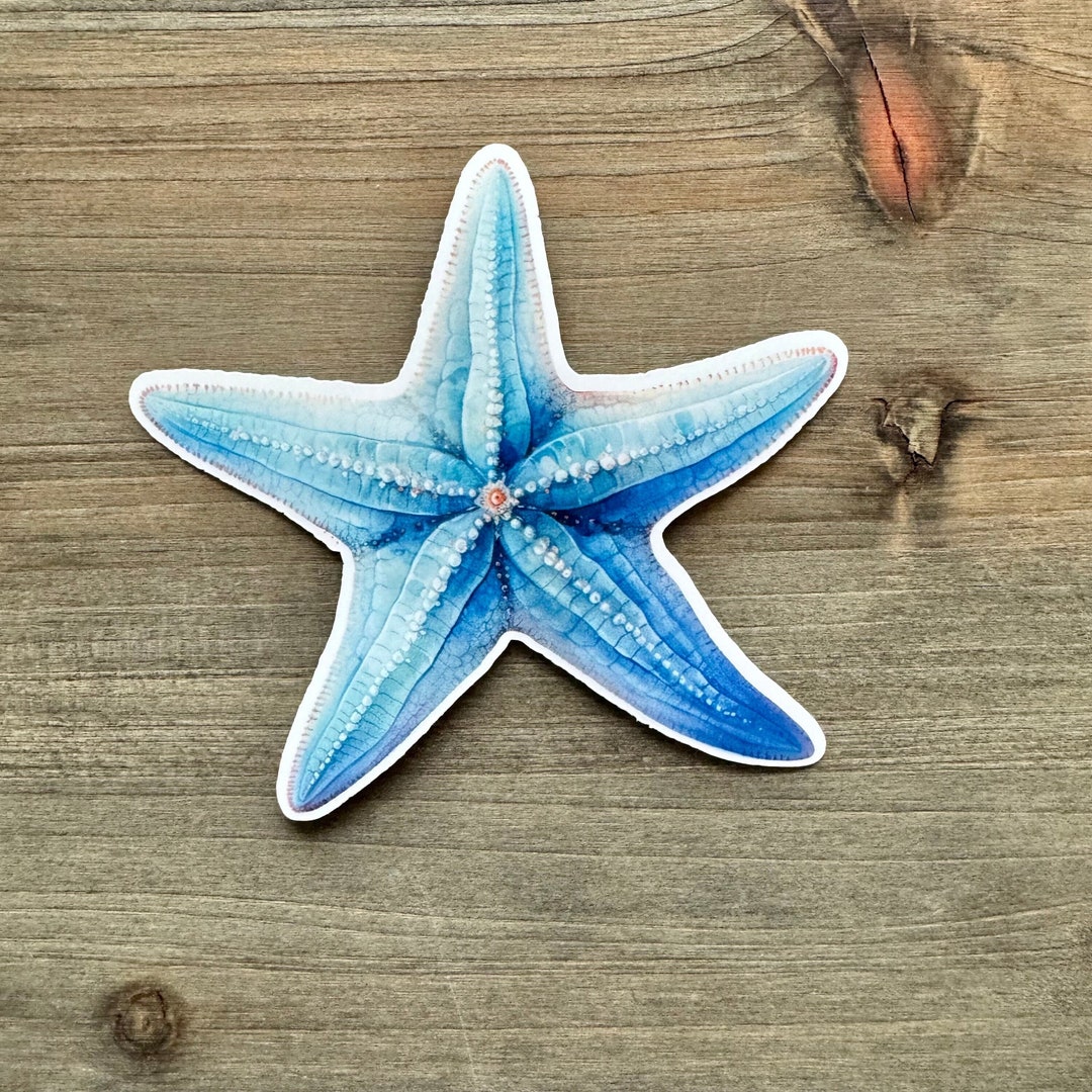 STC-143 Starfish Sticker, Sea Star Sicker, Ocean Creatures, Homer ...