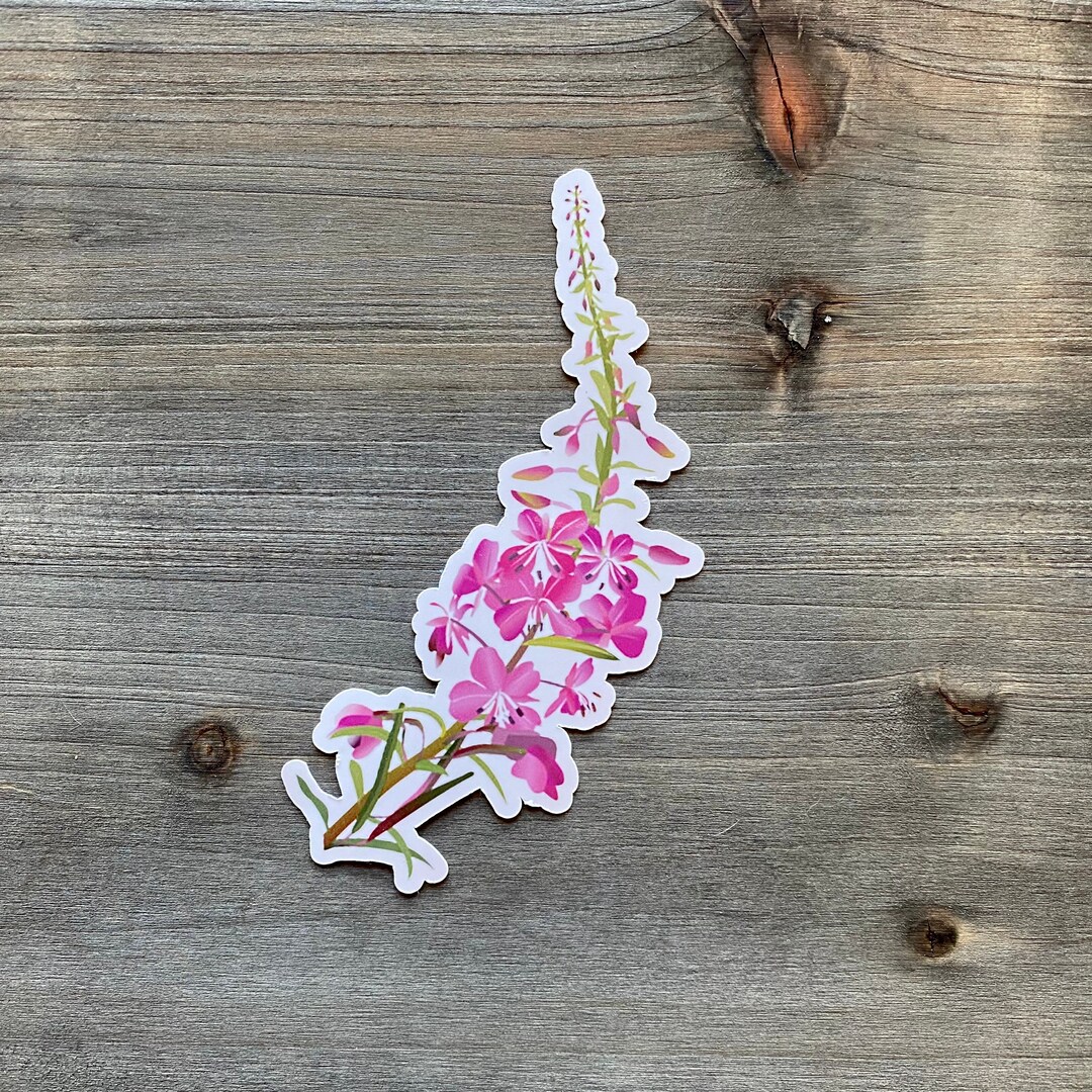 STC-020 Alaska Fireweed Wildflower Sticker, Mountain Wildflower Sticker ...