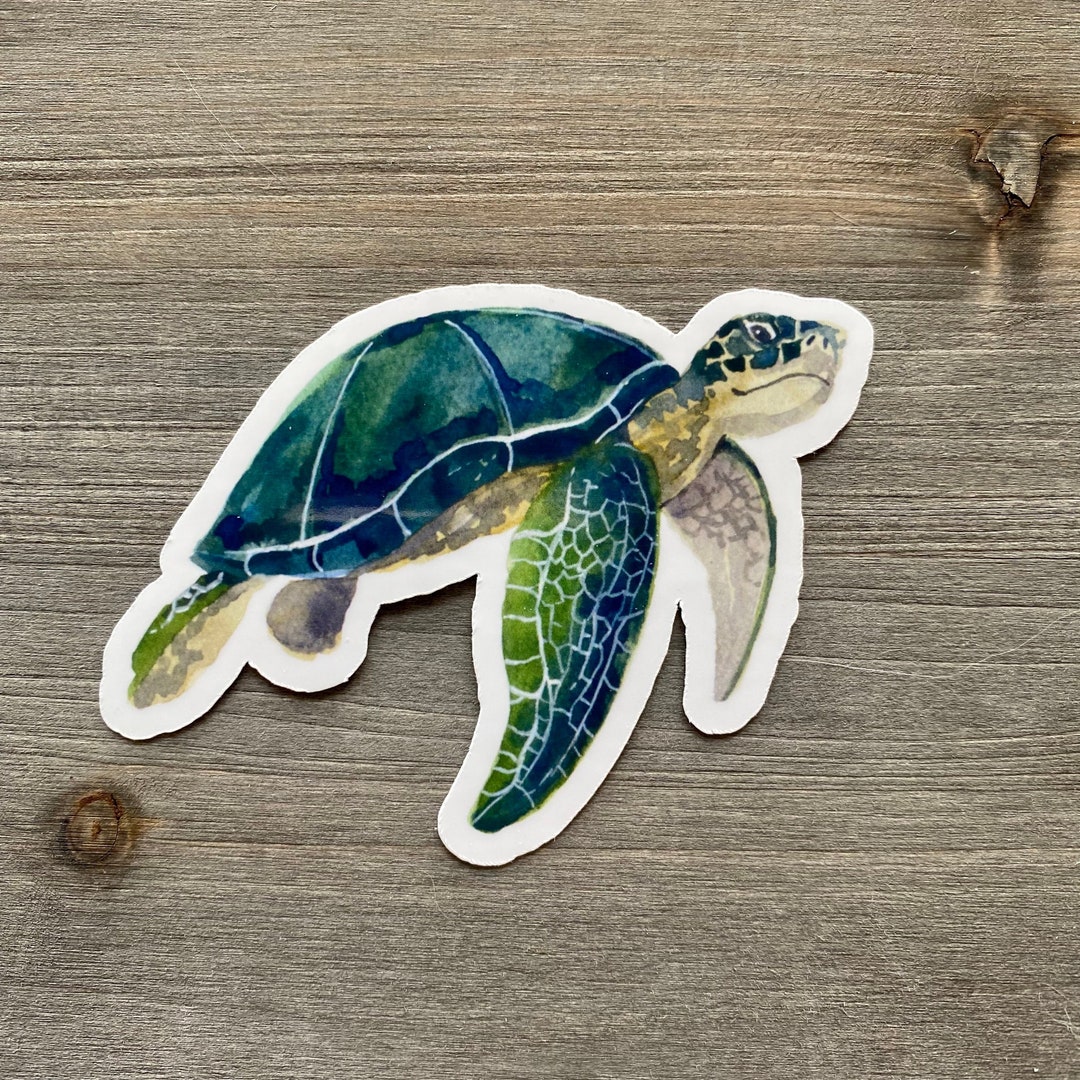 STC-133 Sea Turtle Sticker Turtle Sticker Sea Life Sticker - Etsy