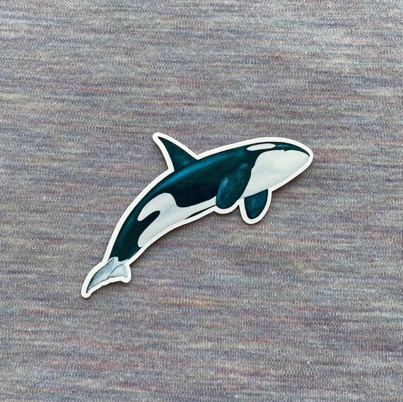 STC-147 Orca Whale Sticker Killer Whale Sticker Whale - Etsy