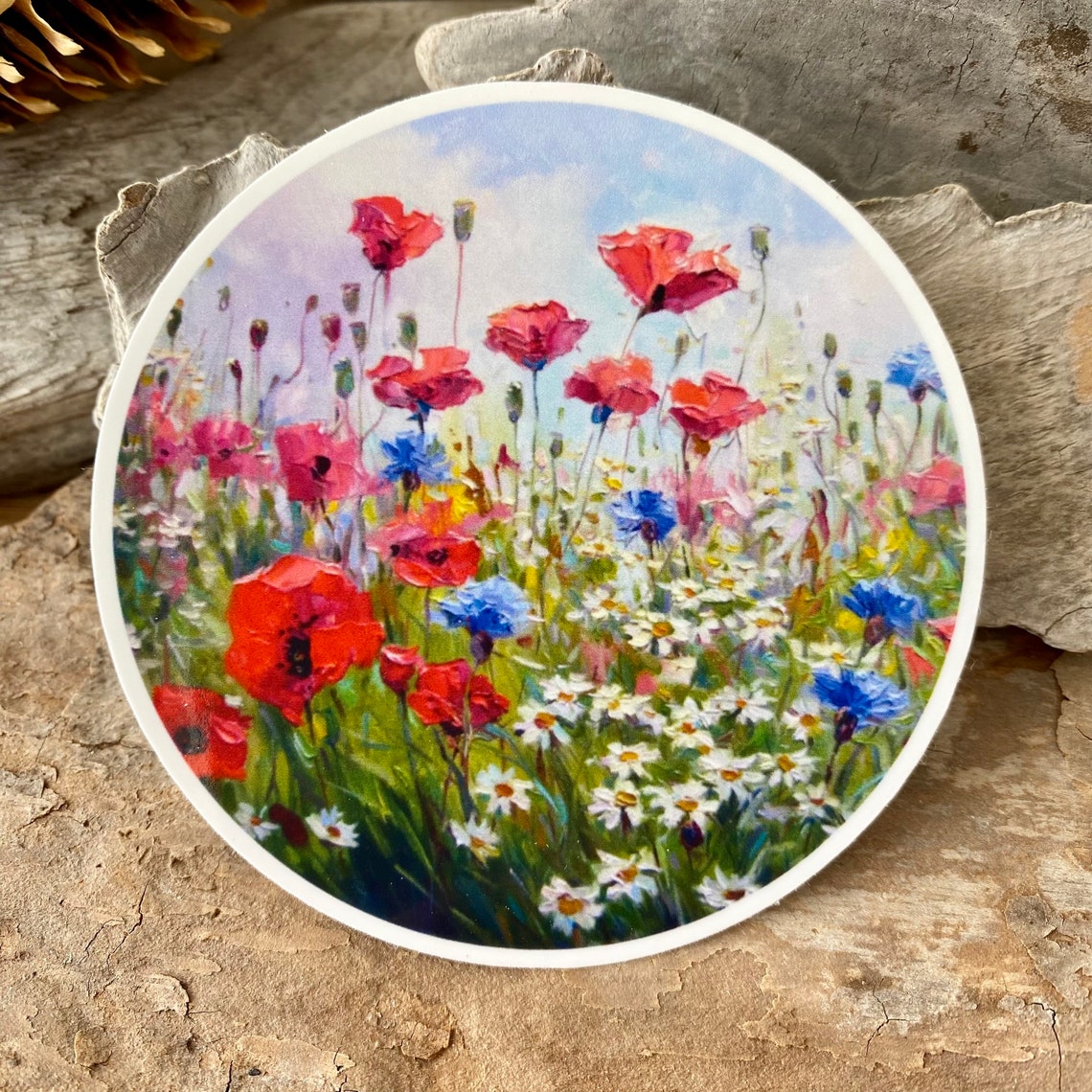 STC•204 Wildflowers in a Field, Alaskan Wilderness, Wildflowers ...