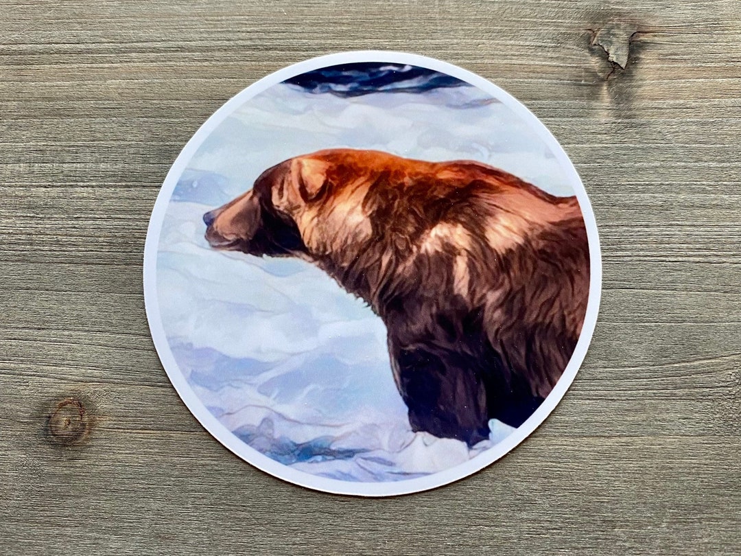 STC•071 Bear "480 Otis" Sticker, Brooks Falls Bear Sticker, Katmai ...