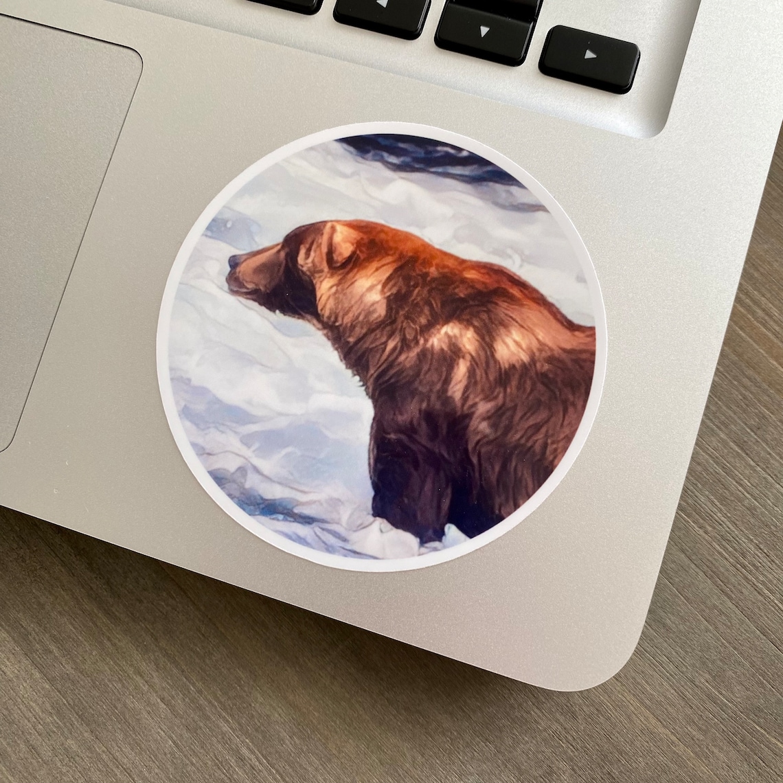 STC•071 Bear "480 Otis" Sticker, Brooks Falls Bear Sticker, Katmai ...