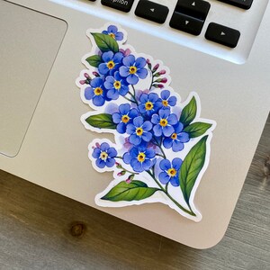 STC-113 Forget•me•not Wildflower Sticker, Alaska State Flower, Alaska ...