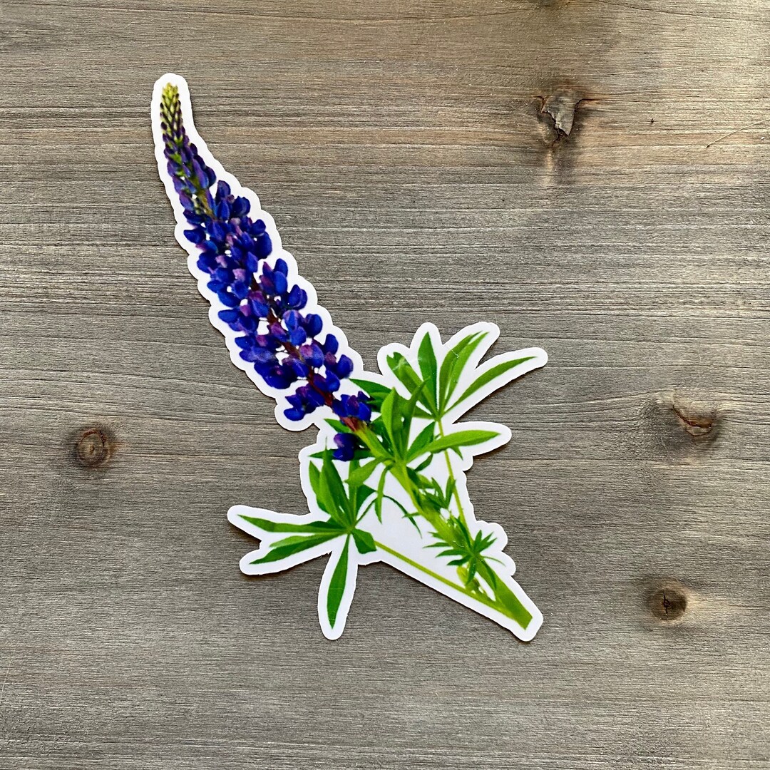 STC-080 Lupine Flower Sticker, Wild Alaska Lupine, Lupine Blossoms ...