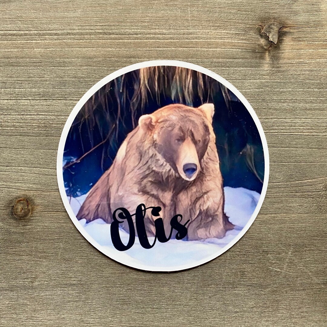 STC-178 Bear "480 Otis" Sticker, Brooks Falls Alaska, Katmai National ...