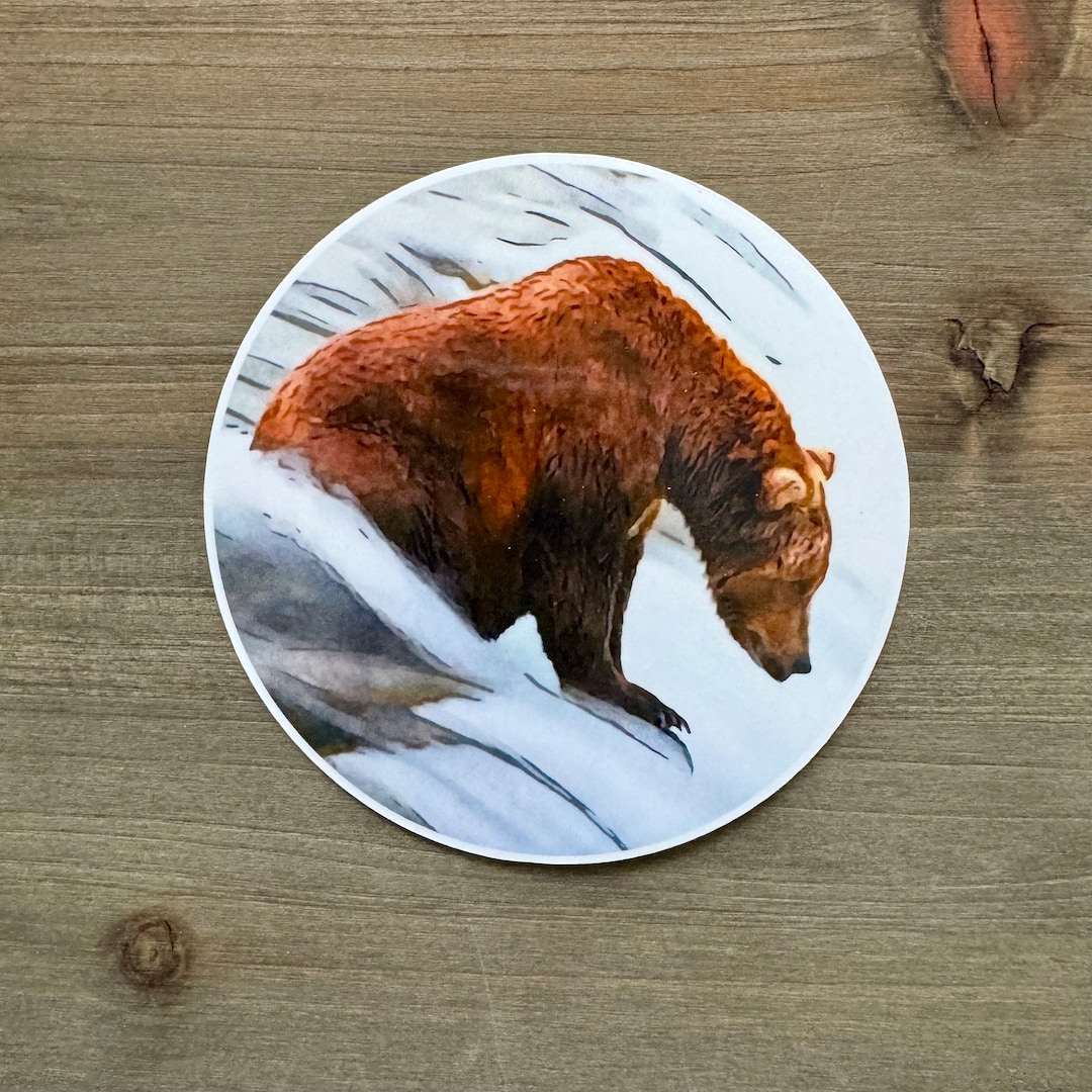 STC-062 Bear "903 Gully" Sticker, Brooks Falls Alaska, Katmai National ...