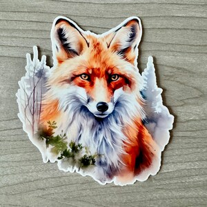 STC-134 Red Fox Portrait Sticker, Arctic Fox Sticker, Red Fox Art ...