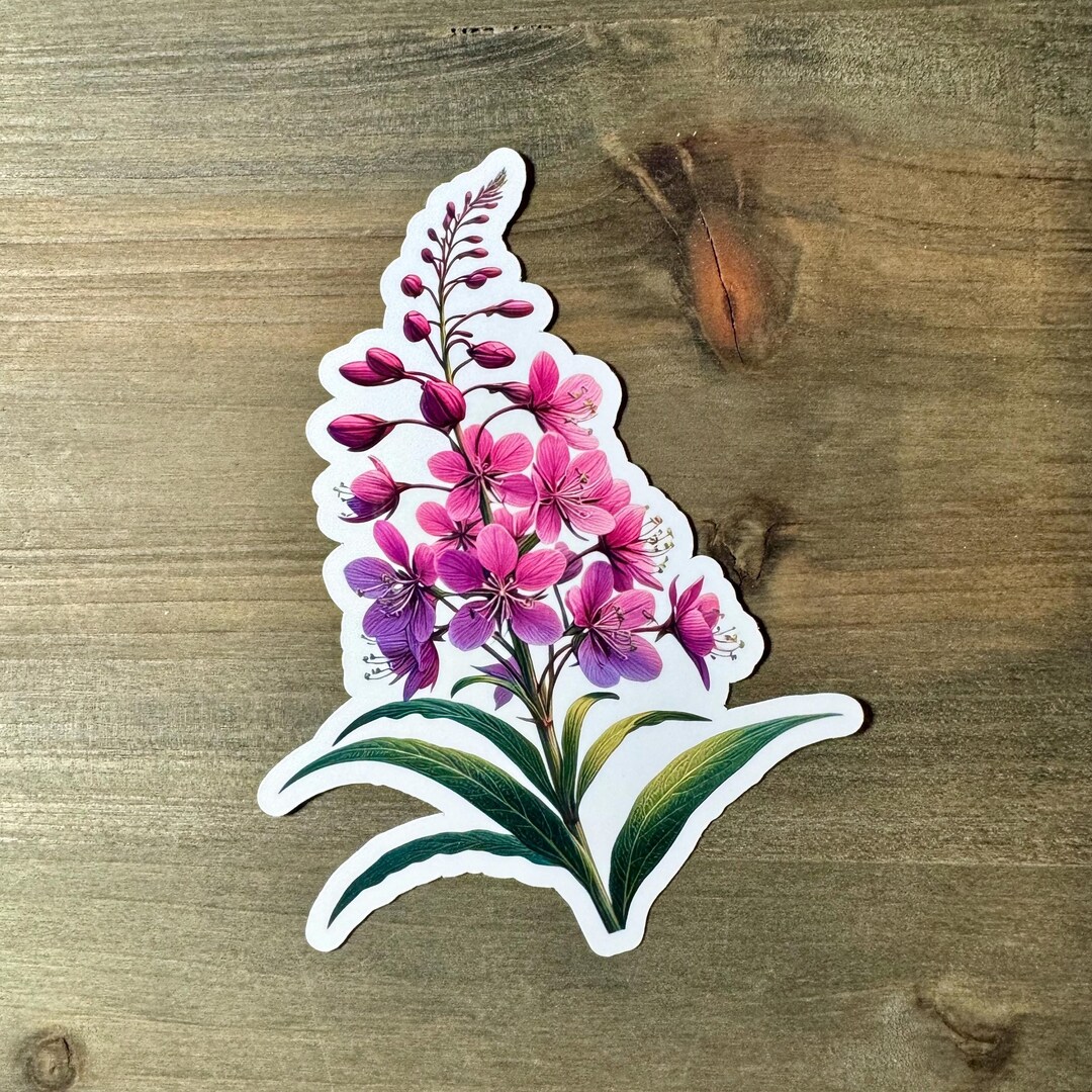 STC-025 Alaska Fireweed Sticker, Alaskan Wilderness, Wildflowers ...