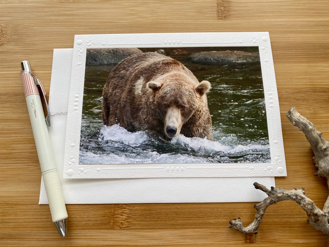 Katmai Bear "480 Otis" Note Card, Brooks Falls Alaska Bears, Katmai ...