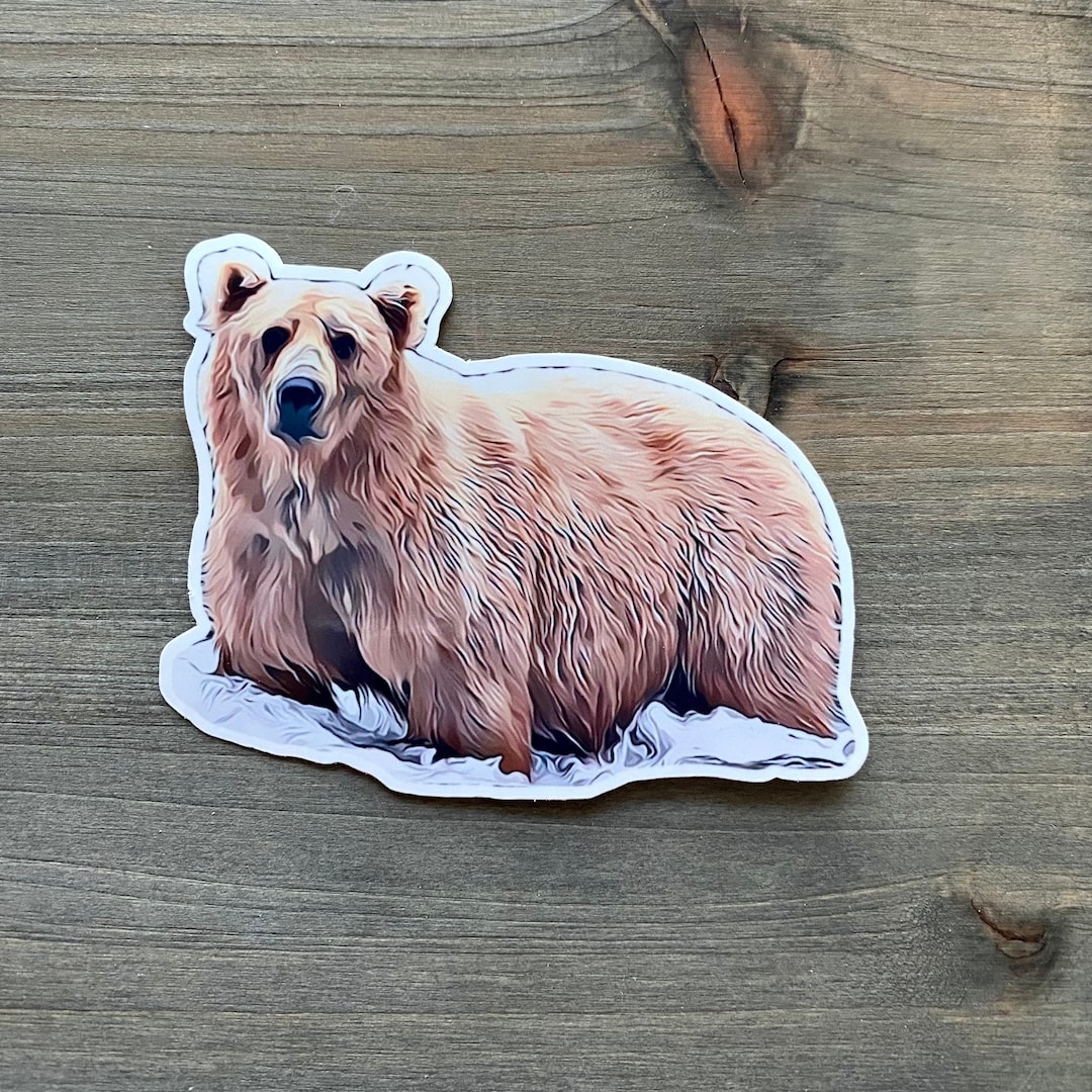 STC216 Katmai Brown Bear 128 Grazer Sticker Brooks - Etsy