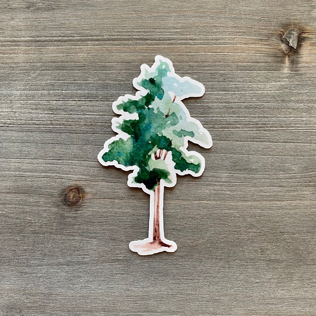 STC-090 Tree Sticker, Birch Tree Sticker, Aspen Tree Sticker, Hiking ...