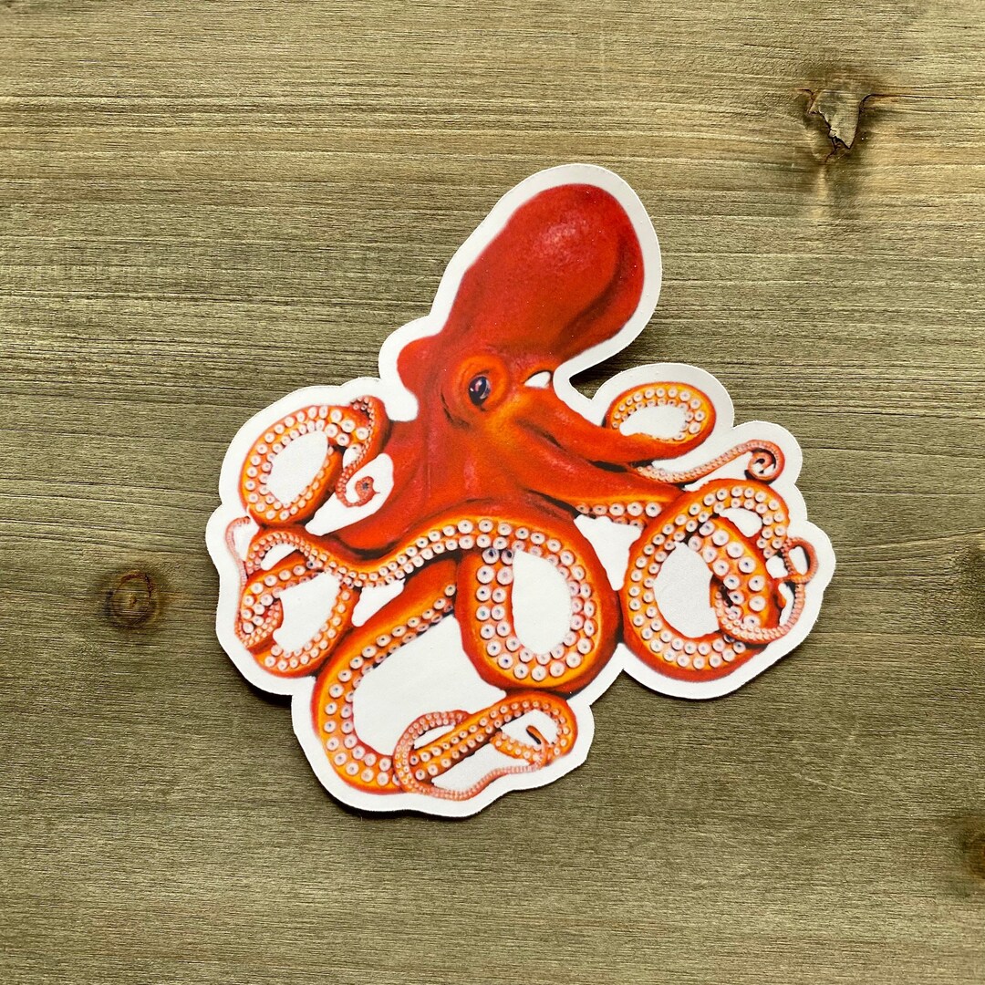 STC-085 Giant Pacific Octopus Sticker, Octopoda Sticker, Ocean Life ...