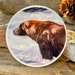 STC071 Bear 480 Otis Sticker, Brooks Falls Bear Sticker, Katmai ...