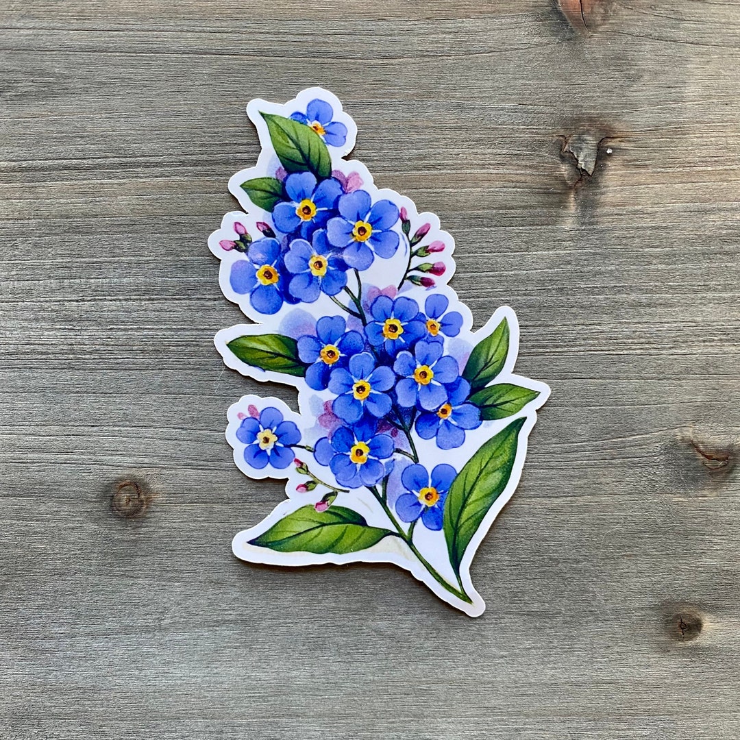 STC-113 Forget•me•not Wildflower Sticker, Alaska State Flower, Alaska ...