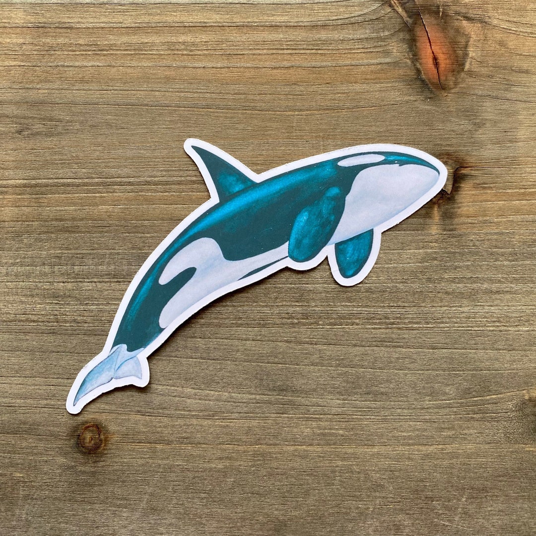STC-147 Orca Whale Sticker, Killer Whale Sticker, Alaska Orca, Sea Life ...