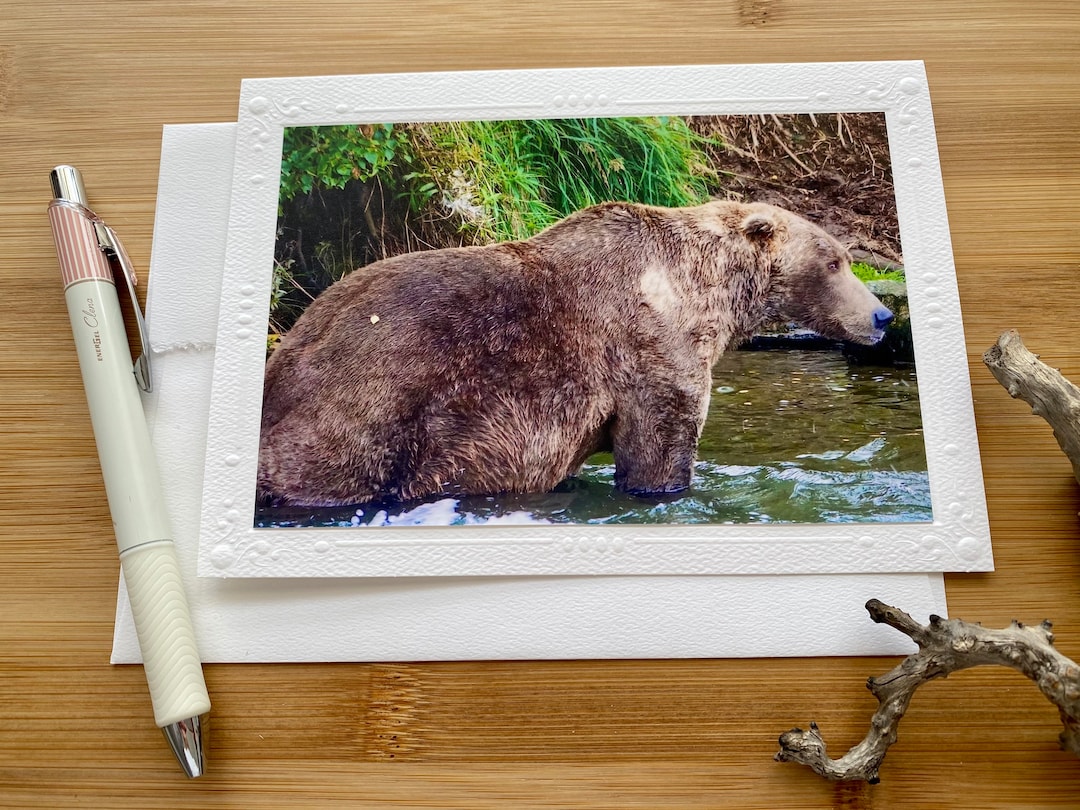 Katmai Bear "480 Otis" Note Card, Katmai National Park Alaska, Brooks ...