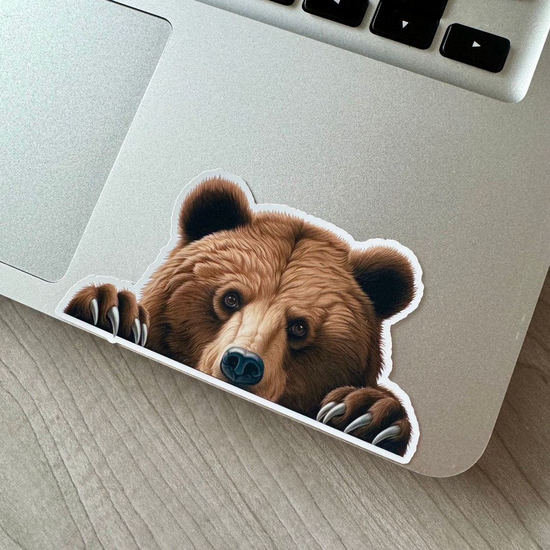 STC-043 Peeking Brown Bear Sticker, Katmai NP Sticker, Brooks Falls ...